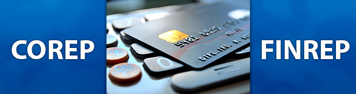 Reportes Regulatórios